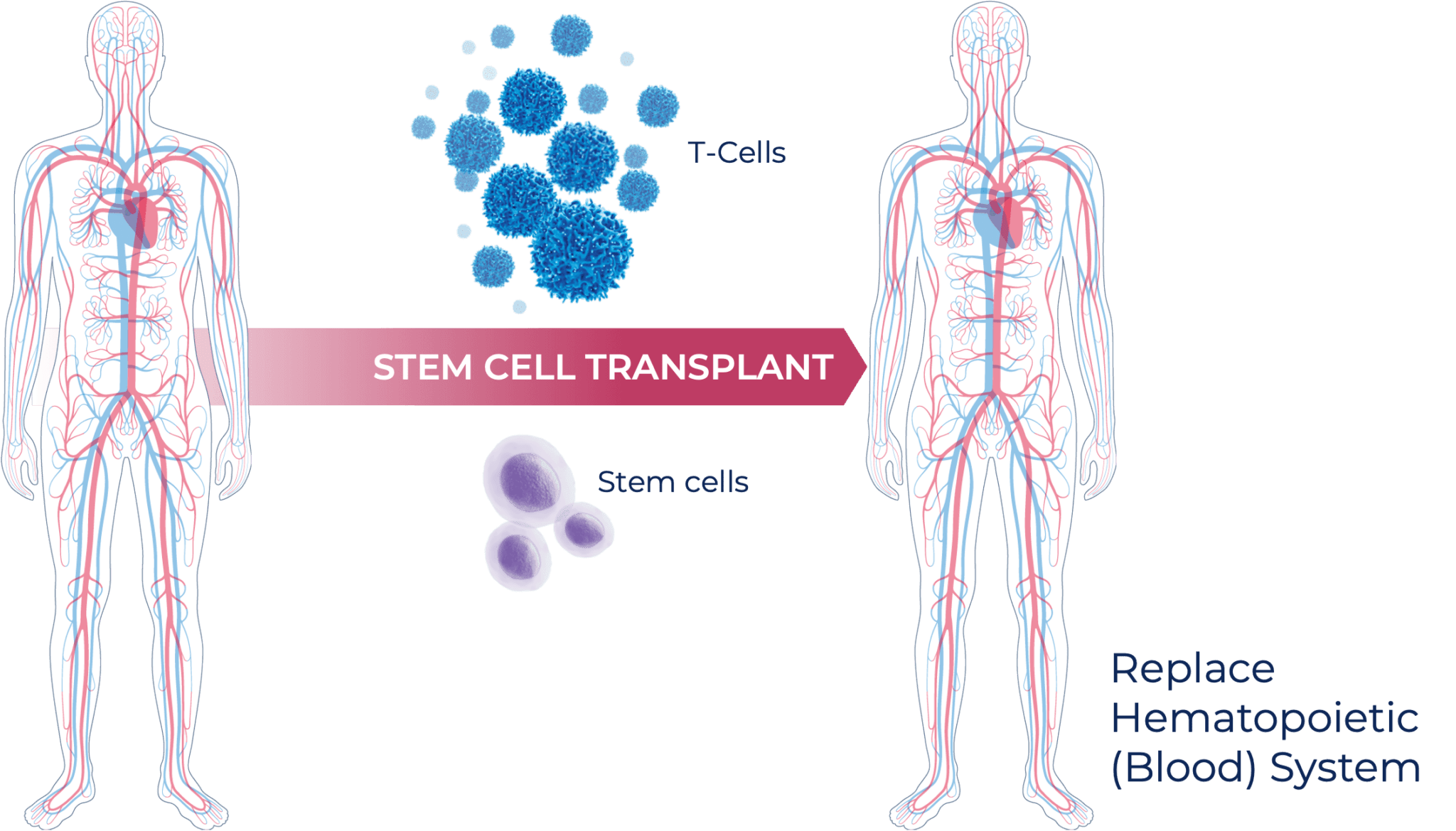 TCX-101 | BlueSphere Bio